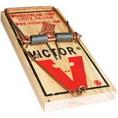 TRAMPA RATONERA DE MADERA C/CARNADA TWIN PACK — IHNSA